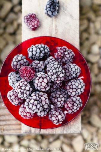 Visual Language: Berry Colors - Image Professionals Blog